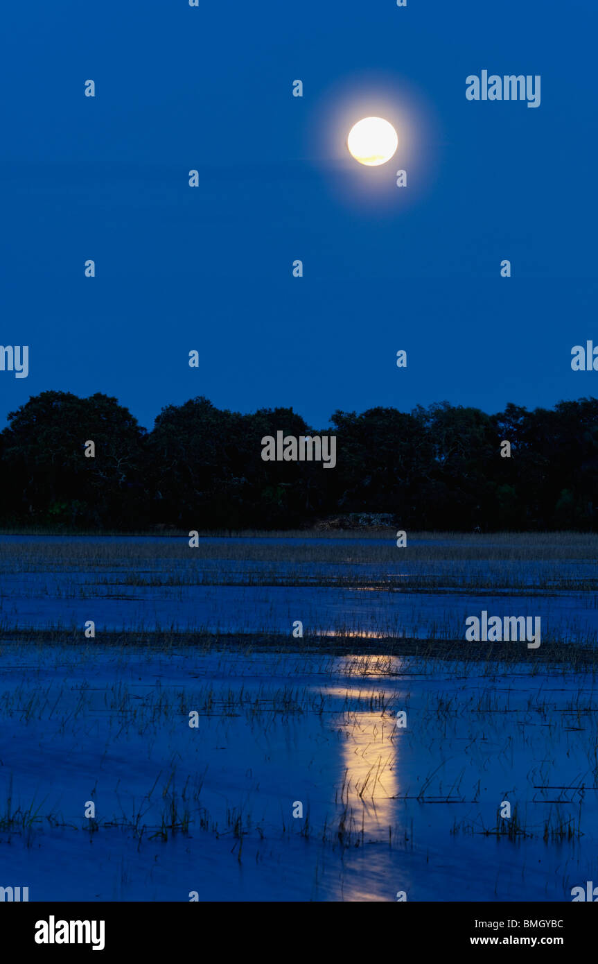 Serenity twilight dusk hi-res stock photography and images - Alamy