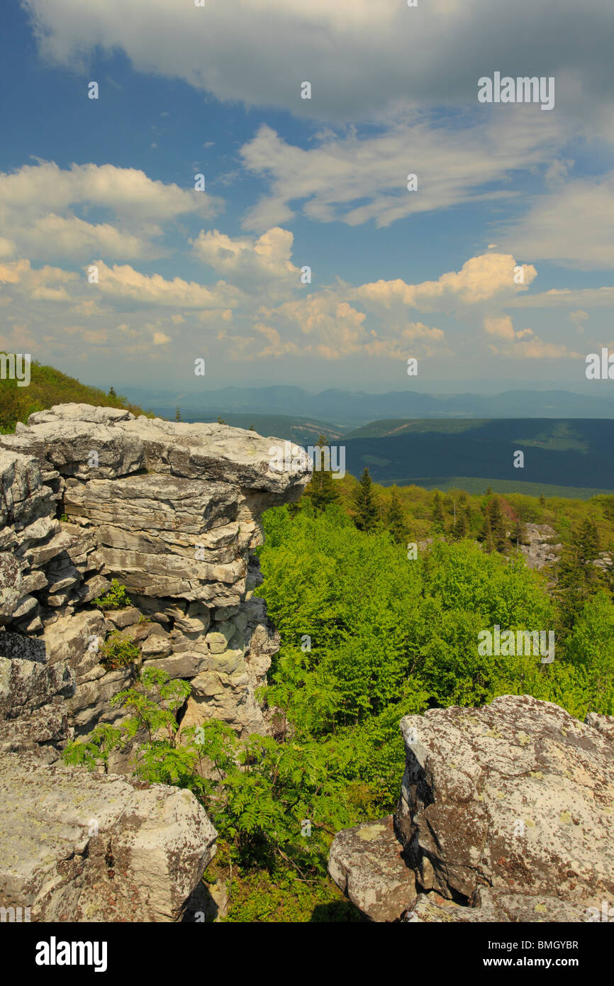Bear Rocks Preserve, Dolly Sods Wilderness, Hopeville, West Virginia ...
