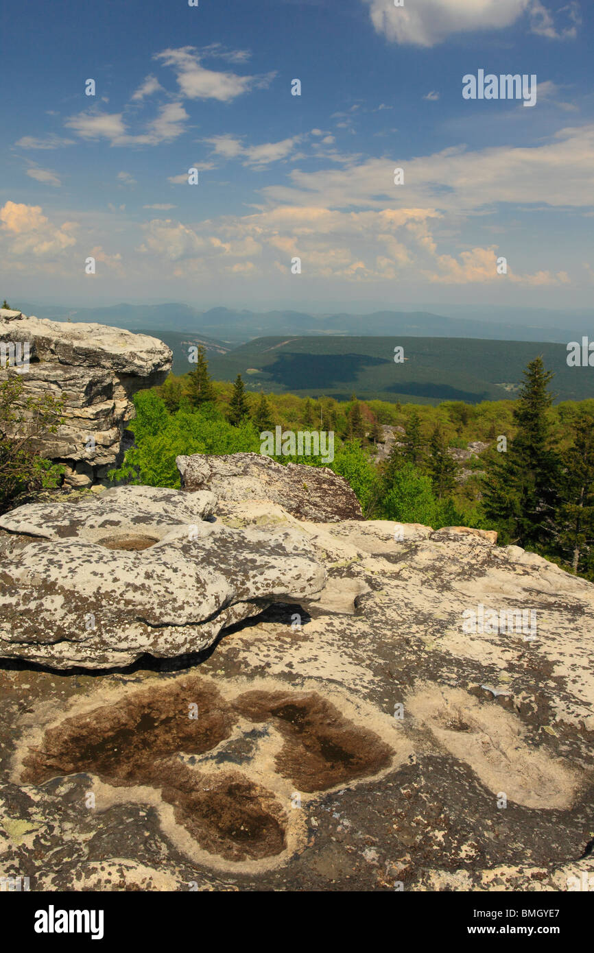 Bear Rocks Preserve, Dolly Sods Wilderness, Hopeville, West Virginia ...