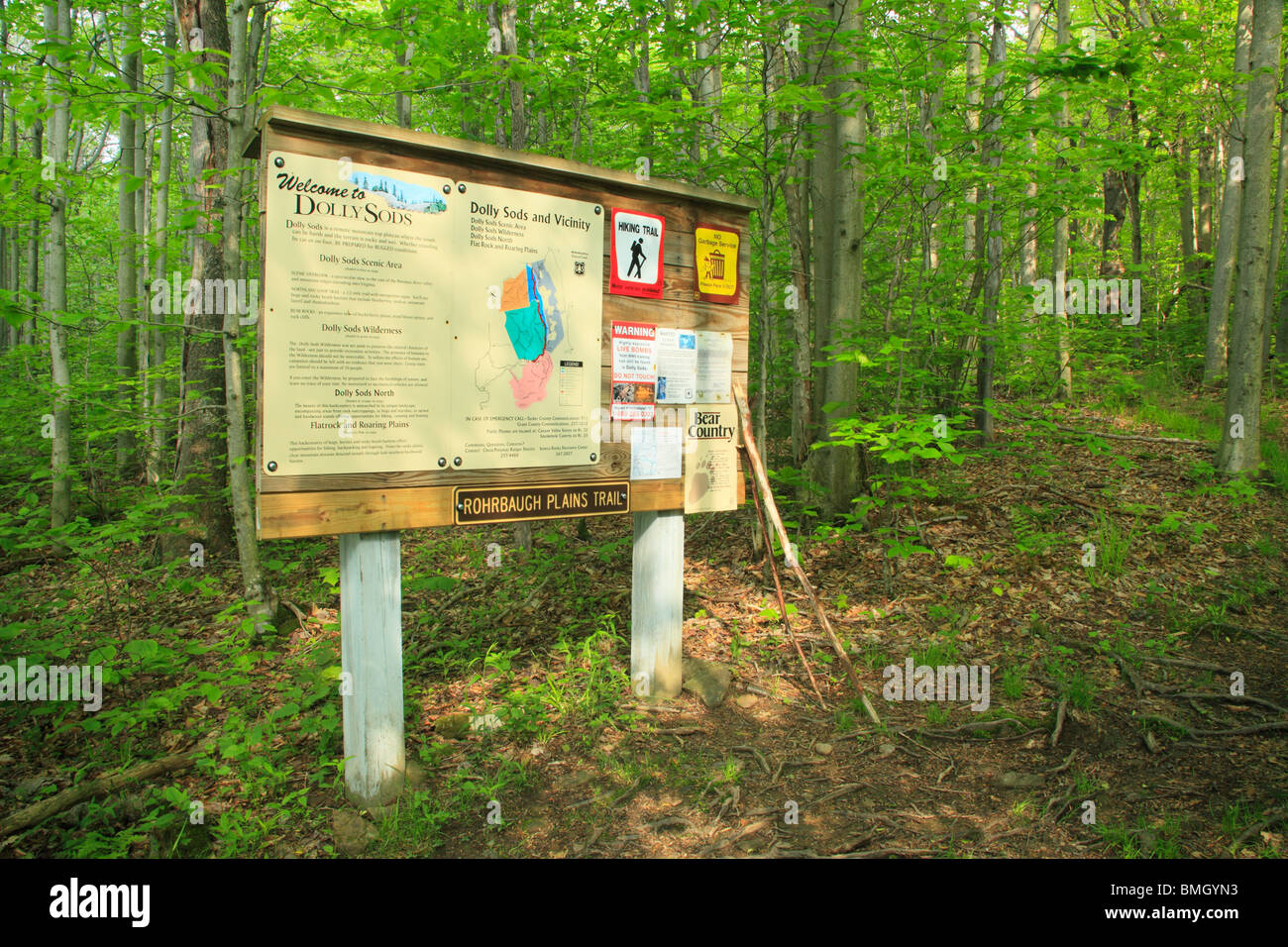 Sign Board at Rohrbaugh Trail Trailhead, Dolly Sods Wilderness Area ...