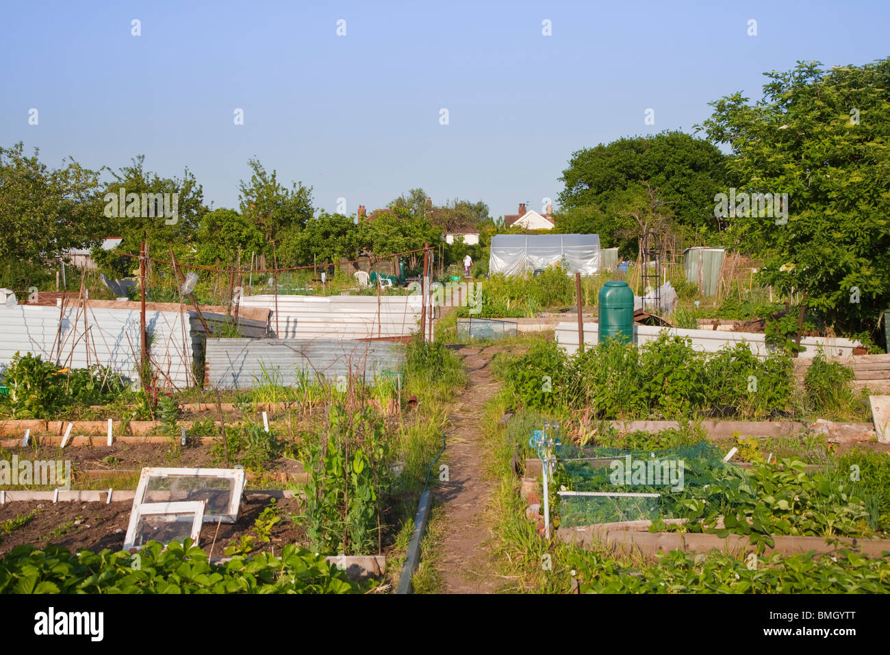 Allotments uk hi-res stock photography and images - Alamy