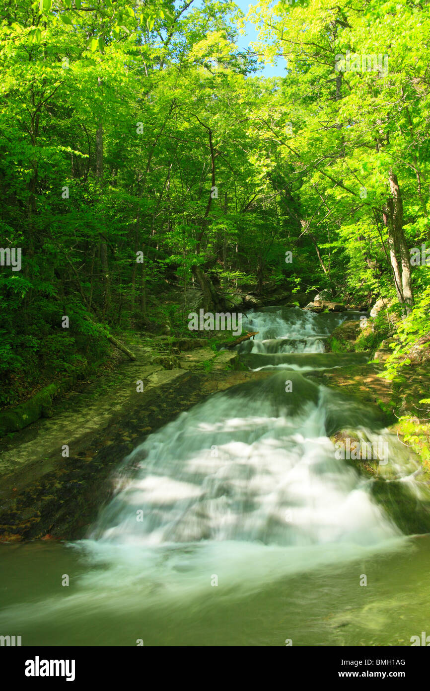 Roaring Run Falls, Roaring Run Recreational Area, Eagle Rock, Virginia ...