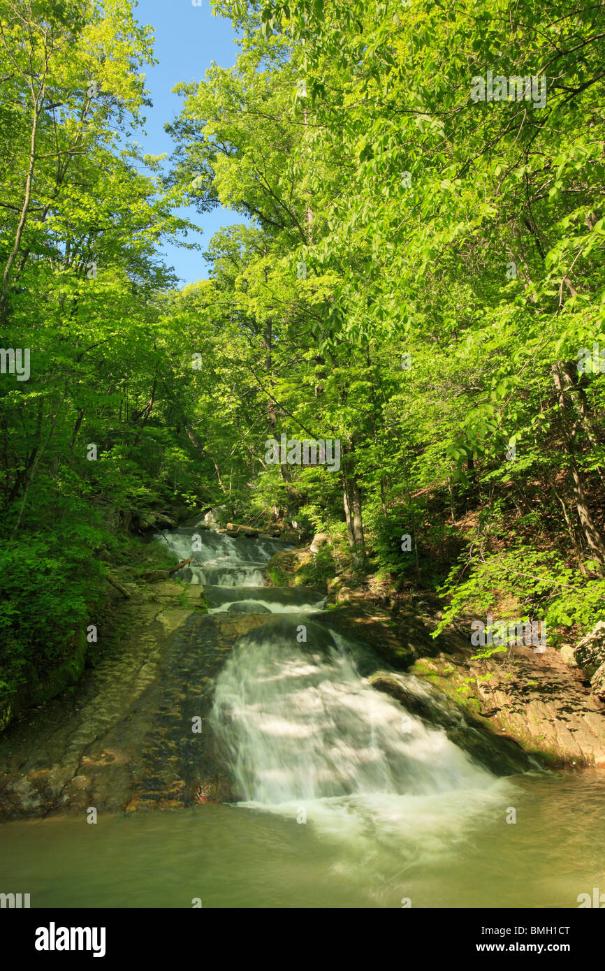 Roaring Run Falls, Roaring Run Recreational Area, Eagle Rock, Virginia ...
