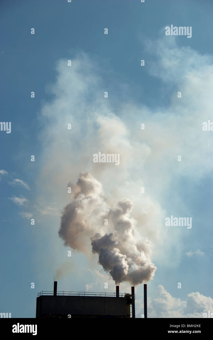 Acrid hi-res stock photography and images - Alamy