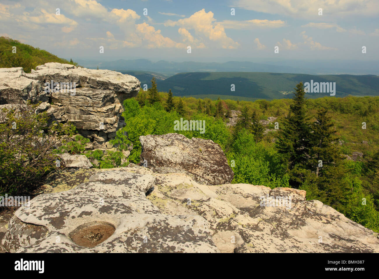 Bear Rocks Preserve, Dolly Sods Wilderness, Hopeville, West Virginia ...