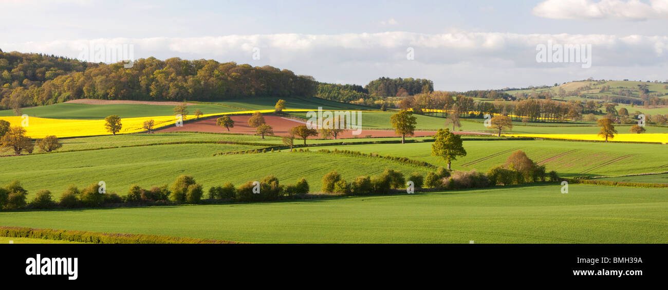 Panorama across farmland near Ludlow, Shropshire, England, UK Stock ...
