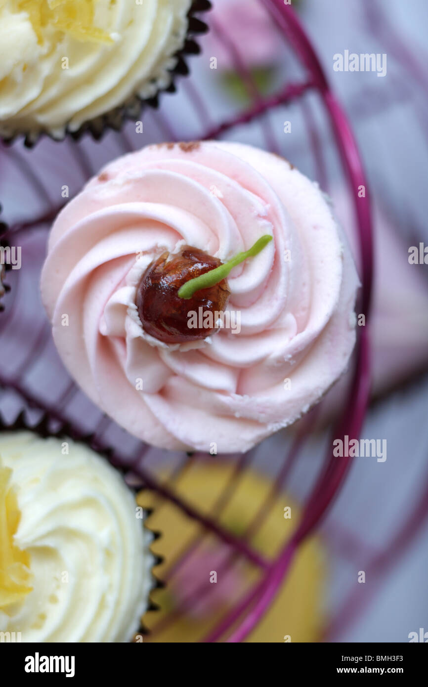Selection Of Assorted Individual Cup Cakes And Fancy Fondant Iced Cakes ...