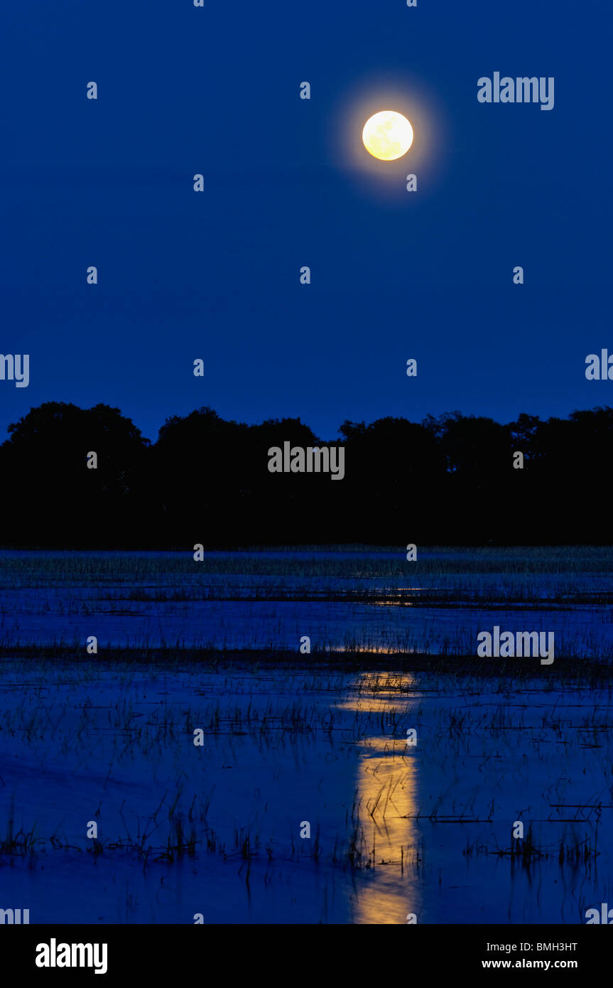 Serenity twilight dusk hi-res stock photography and images - Alamy