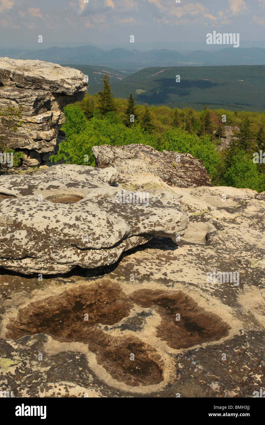 Bear Rocks Preserve, Dolly Sods Wilderness, Hopeville, West Virginia ...