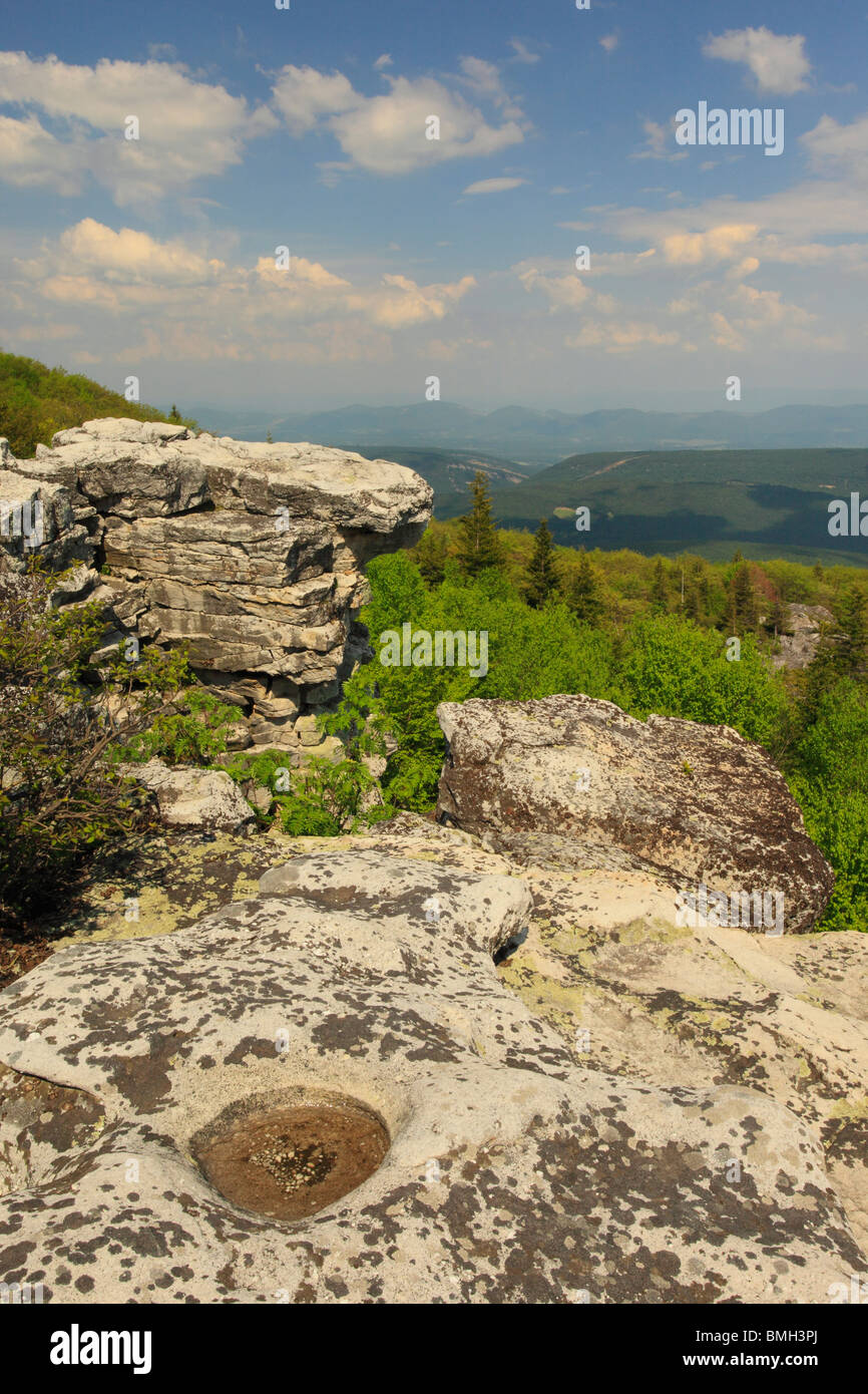 Bear Rocks Preserve, Dolly Sods Wilderness, Hopeville, West Virginia ...