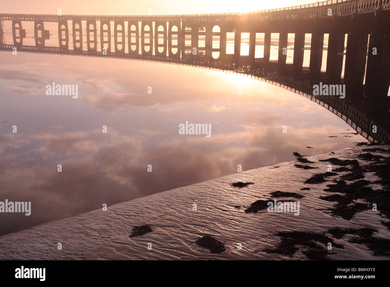 The River Tay,with Tay Rail bridge in sunset Stock Photo - Alamy