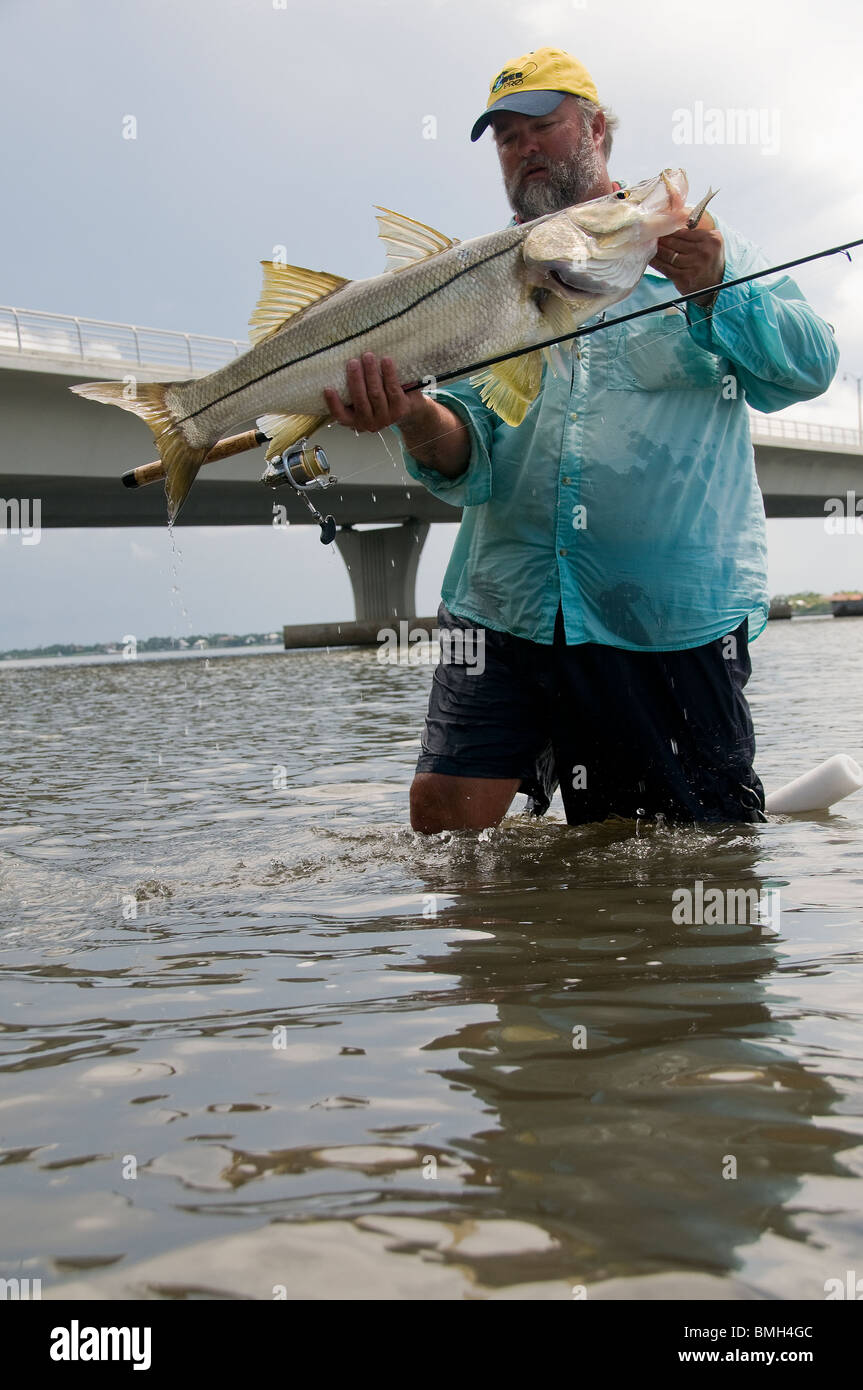 An inshore angler hefts a giant snook caught in Florida's Intracoastal ...