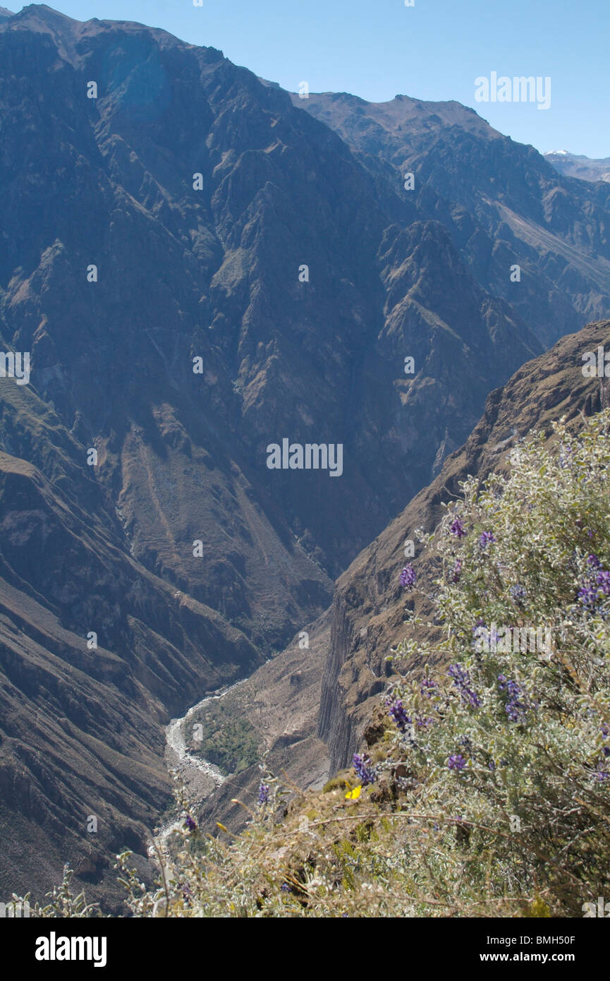 Colca Canyon, Peru Stock Photo - Alamy