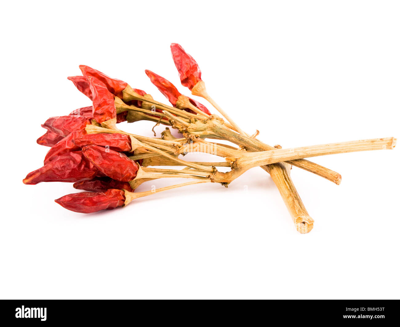 Dried red capsicum pepper on white background - hungarian seasoning ...