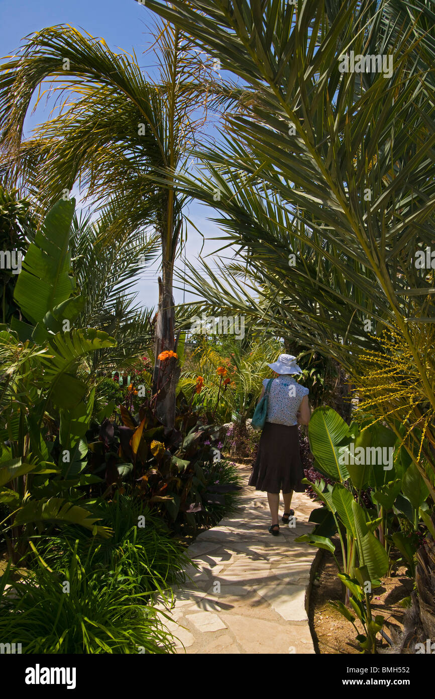 Eleouthkia, garden, Pafos, Anarita, Cyprus. Spring, May Stock Photo - Alamy