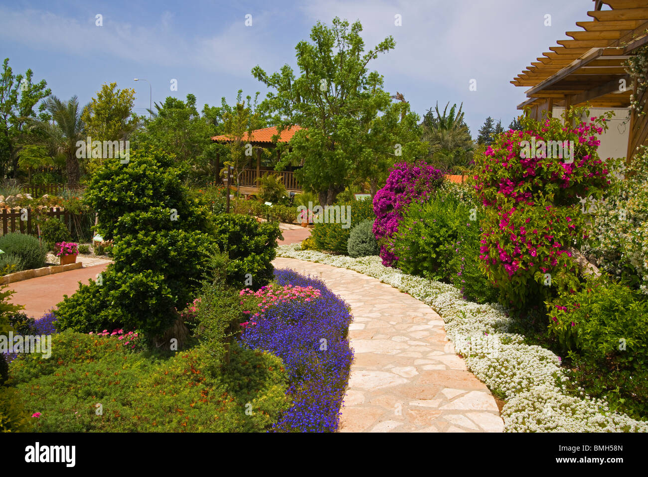 Eleouthkia, garden, Pafos, Anarita, Cyprus. Spring, May Stock Photo - Alamy