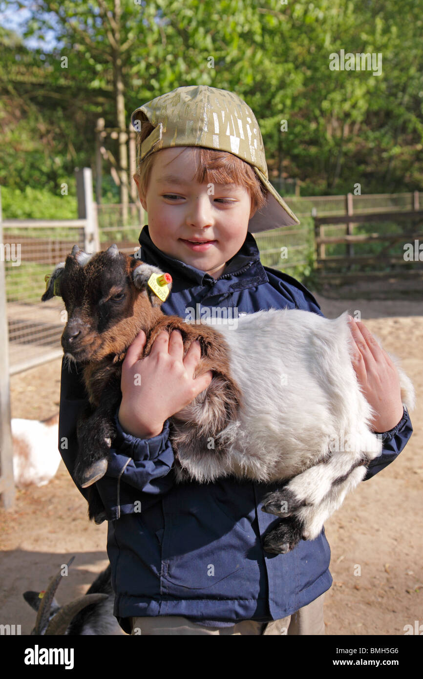 Goat of arms hi-res stock photography and images - Alamy