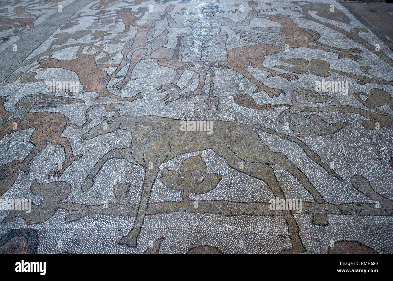 Apulia,Salento, Ostuni, the mosaics of the Cathedral inside Stock Photo ...