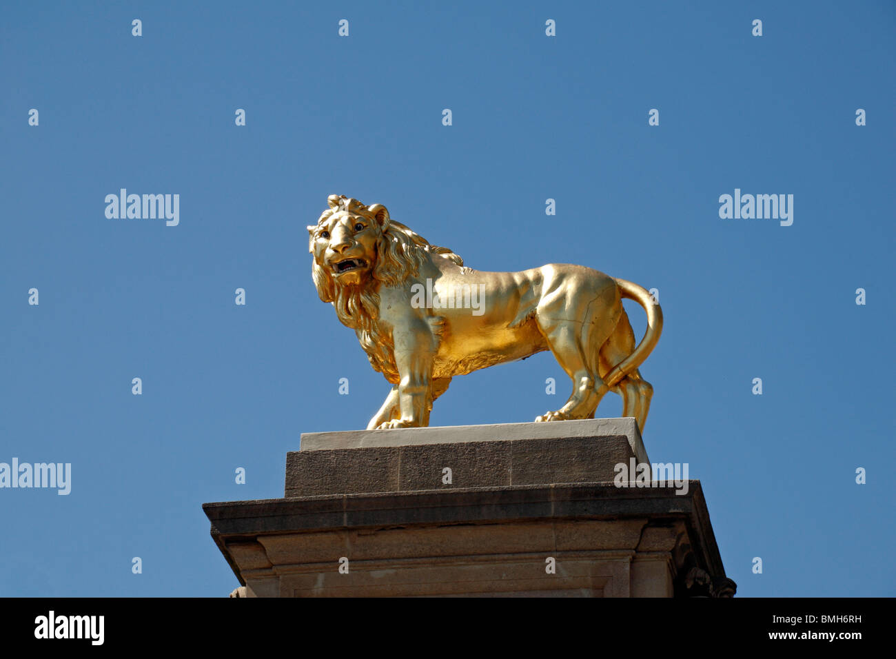 The golden lion statue above the entrance to the west stand, Allianz ...