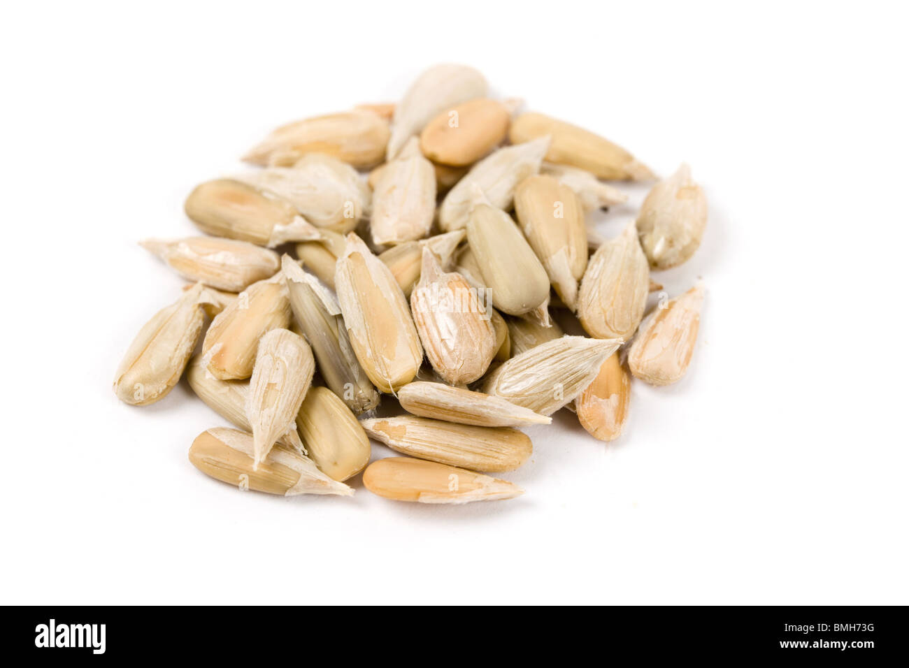 Shellless Sunflower Seed close up shot Stock Photo - Alamy