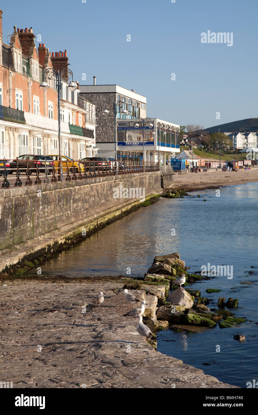 promenade, sea wall, slipway and stone groynes at Swanage in the early ...