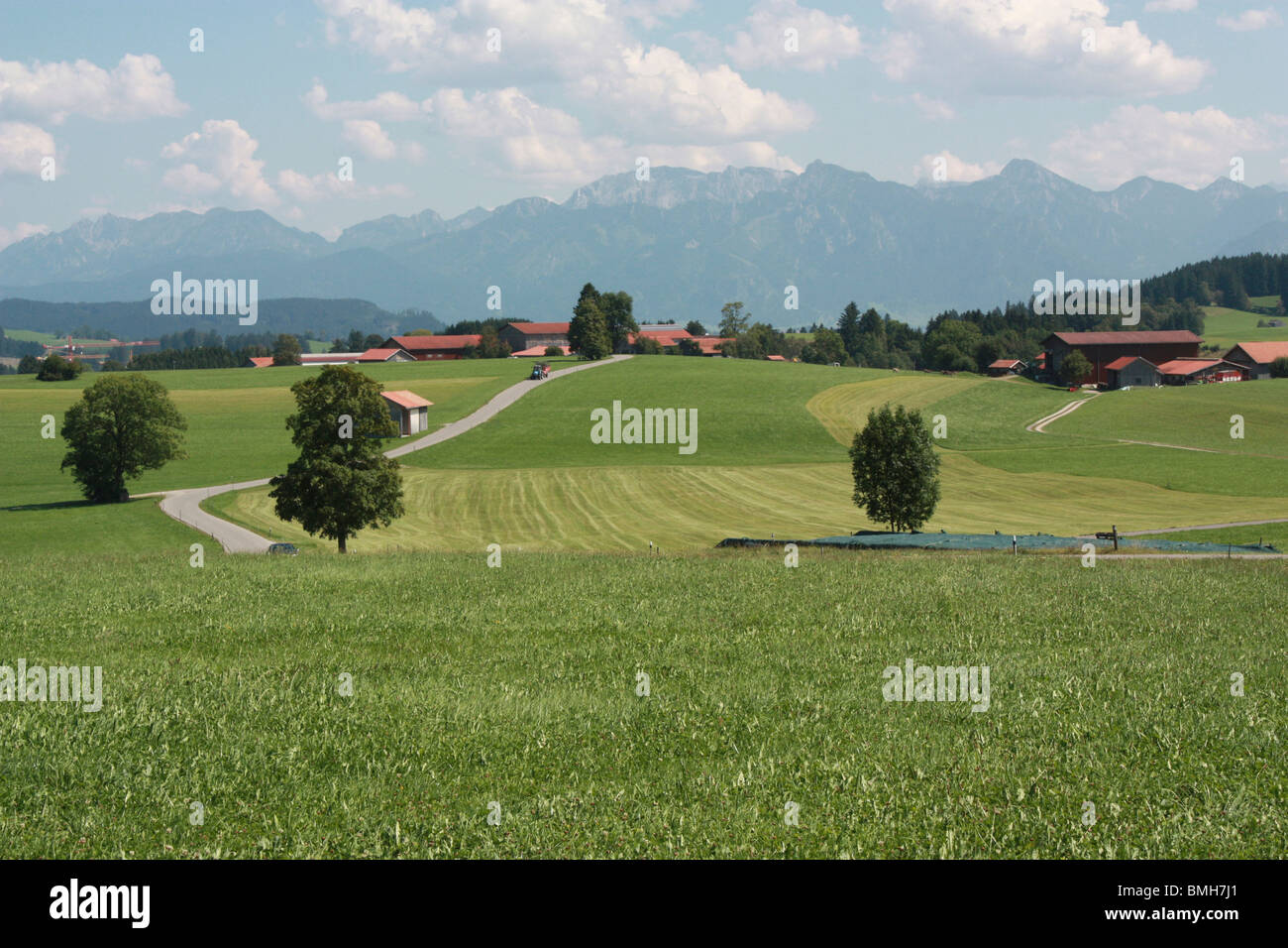 Lush green fields and crops surrounded by the German Alps in Bavaria ...