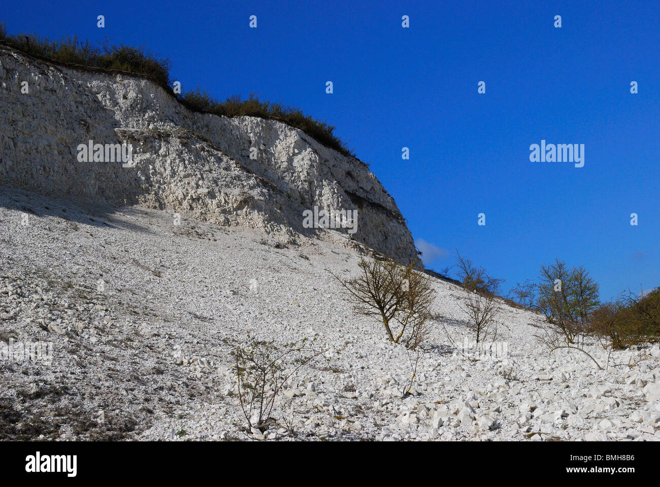 Limestone cliffs of a quarry Stock Photo - Alamy