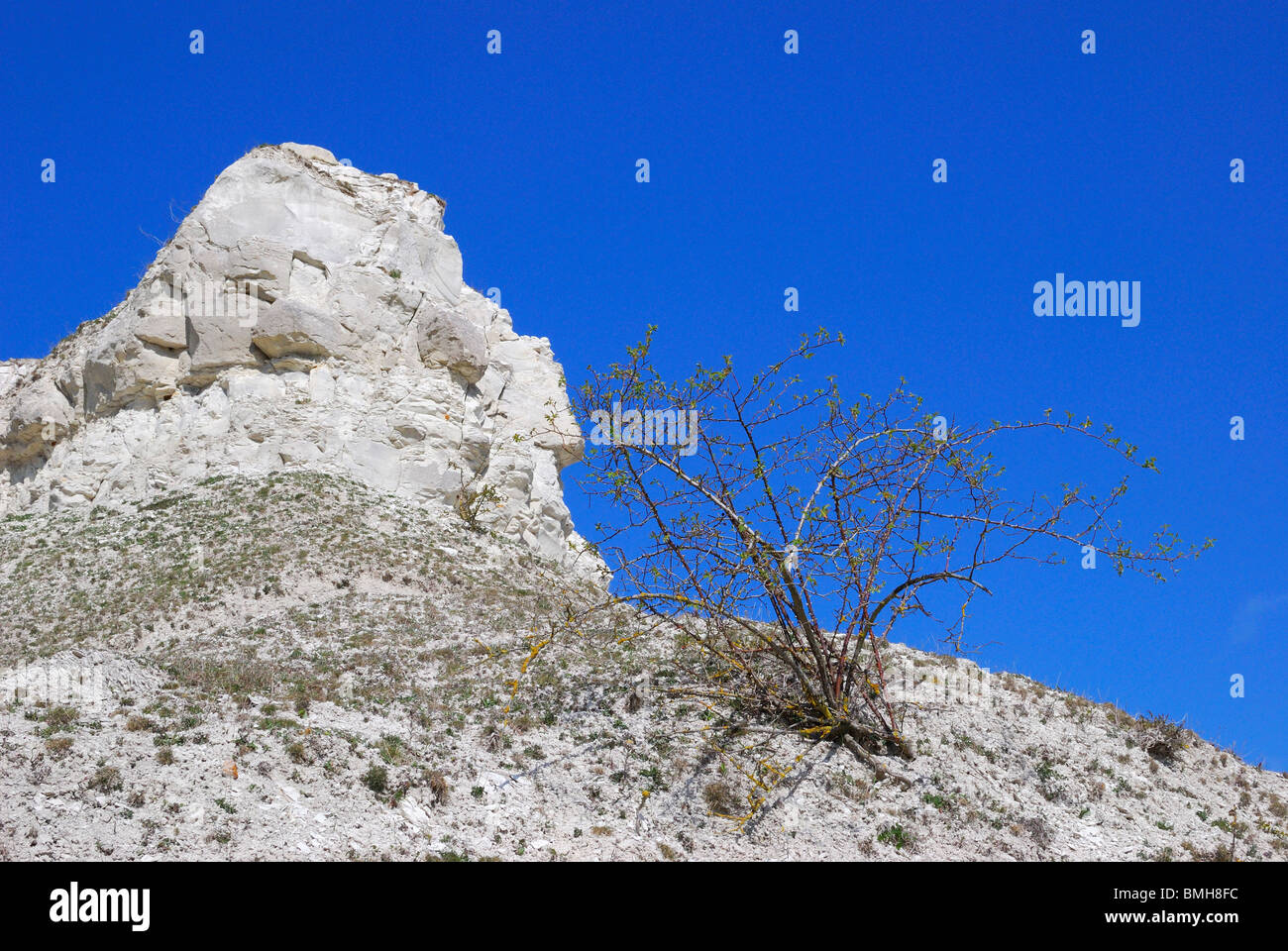 Limestone cliffs of a quarry Stock Photo - Alamy