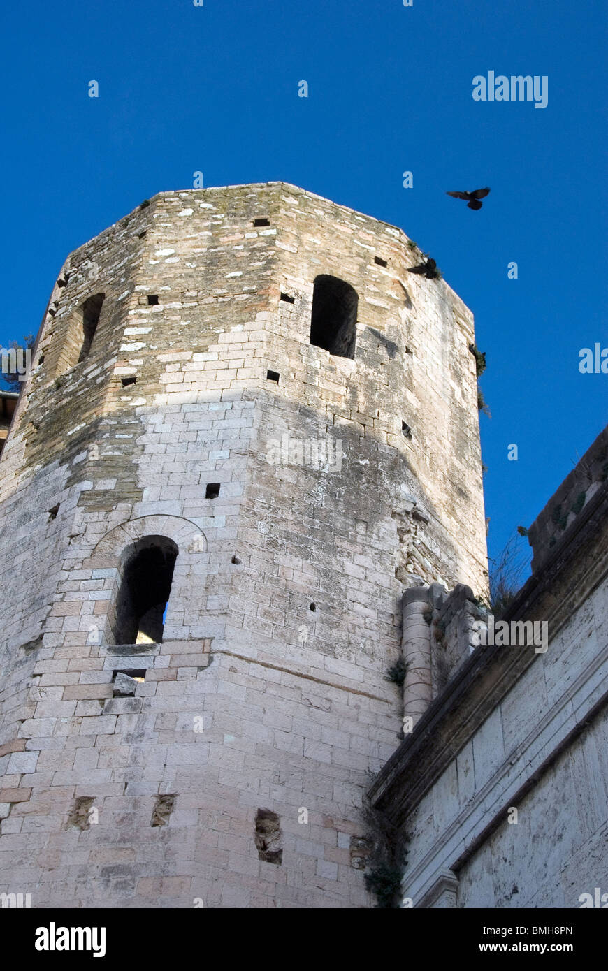 Twelve sided tower with pigeons flying over Porto Venere or the Venus ...