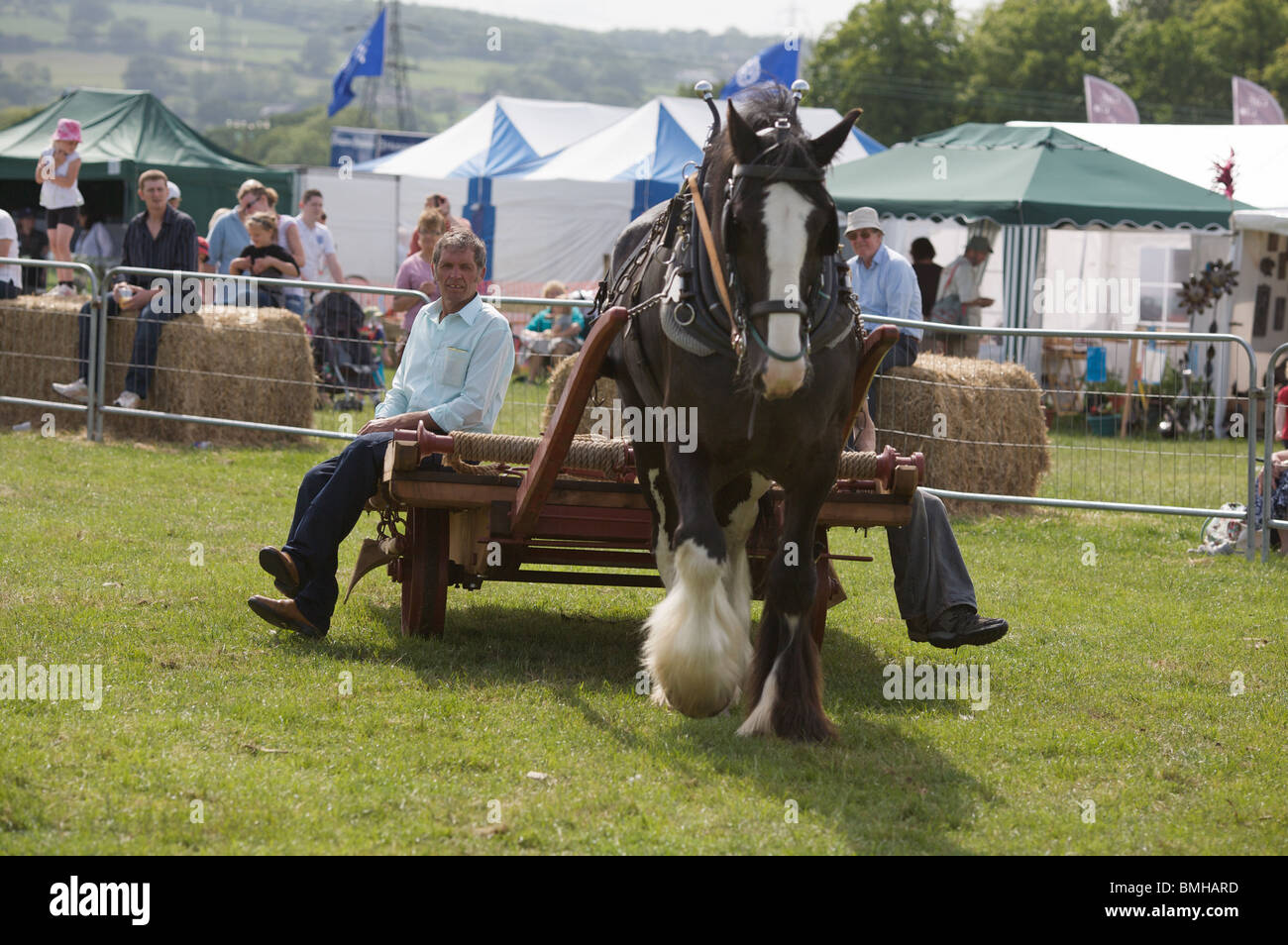 Display of driving with shire horse and cart at the Woodfest Wales ...