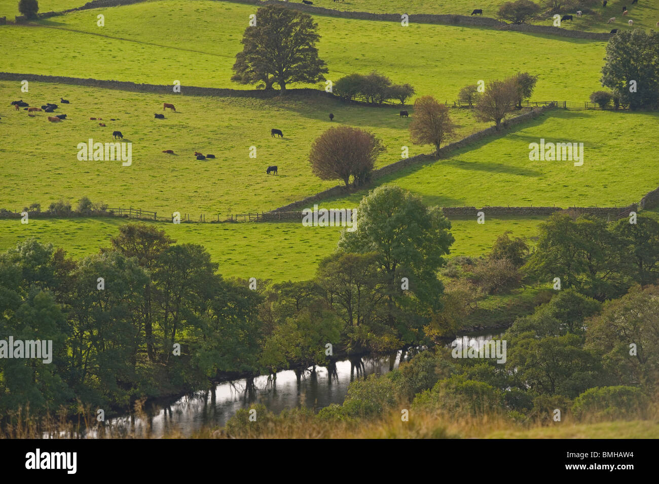 Lower Teesdale, near Middleton in Teesdale, Northern Penines, England ...