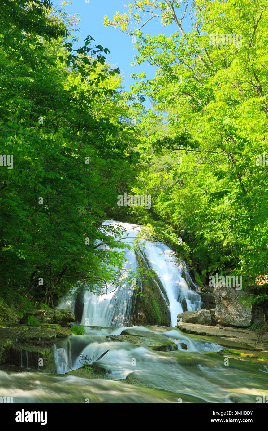 Roaring Run Falls, Roaring Run Recreational Area, Eagle Rock, Virginia ...
