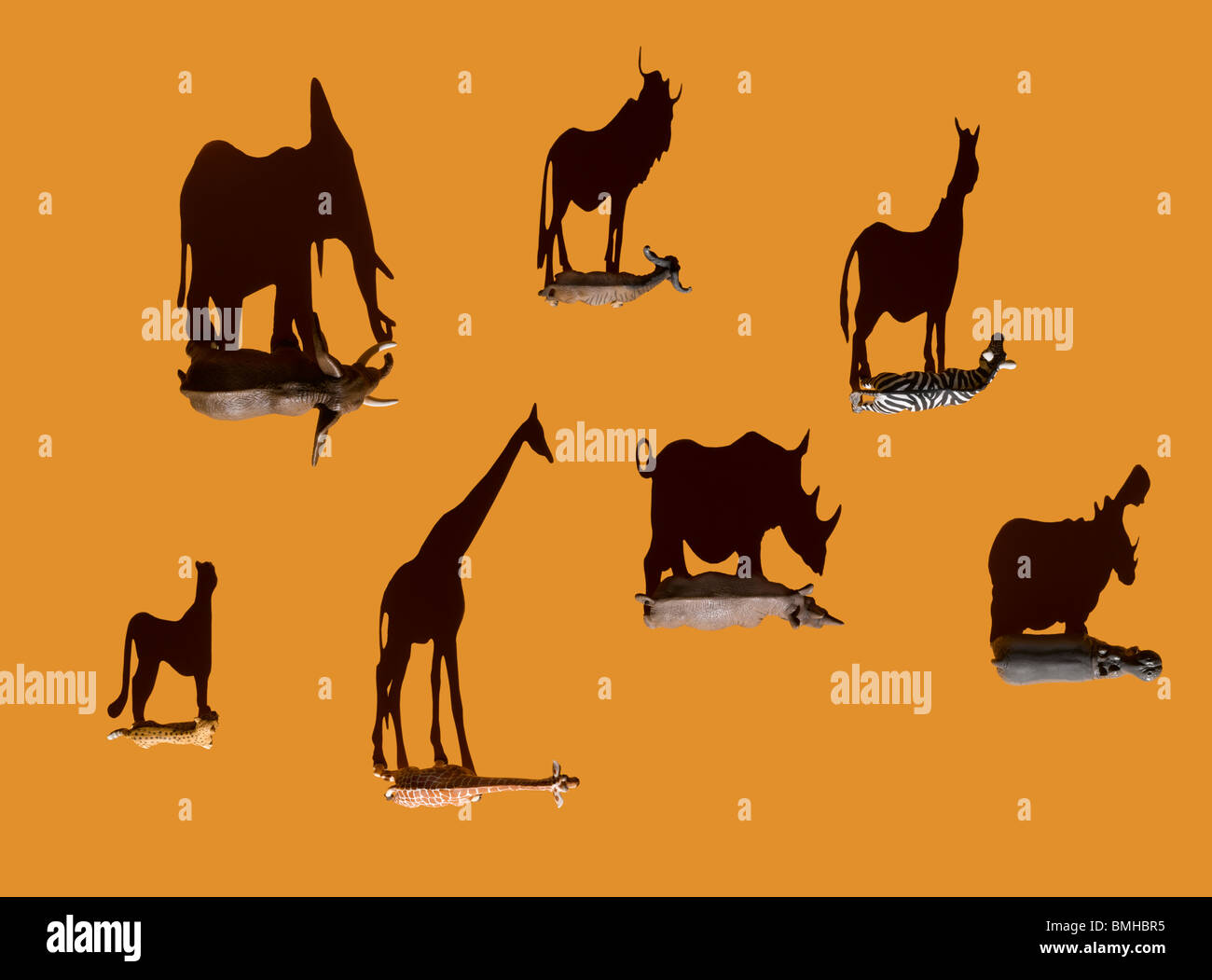 Zebra giraffe elephant africa hi-res stock photography and images - Alamy