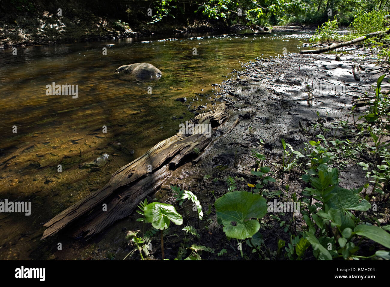 Kemeru park hi-res stock photography and images - Alamy