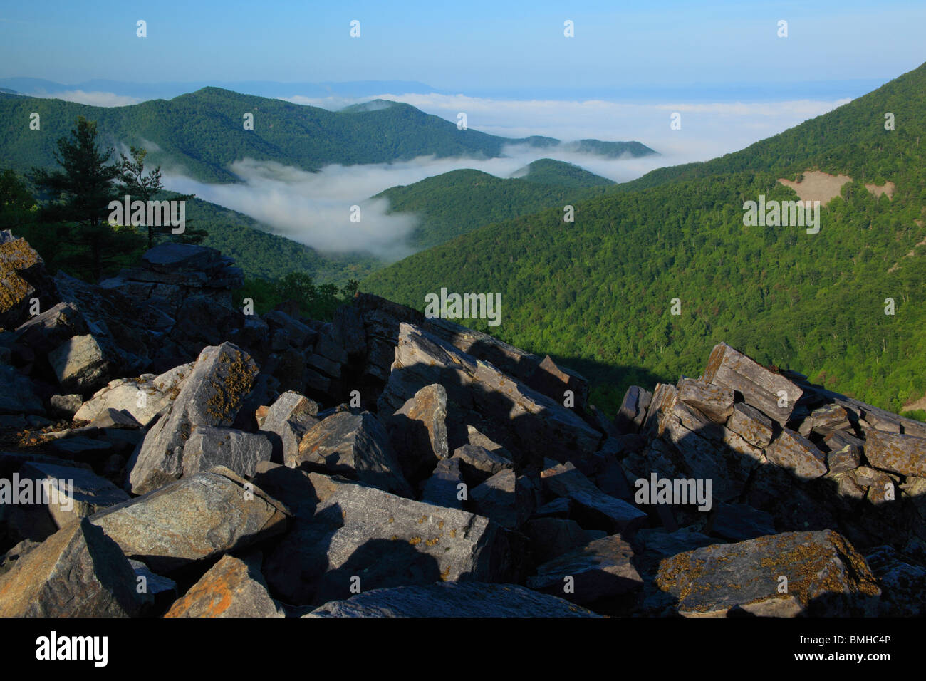Foggy Morning on Appalachian Trail, Black Rock Summit, Shenandoah ...