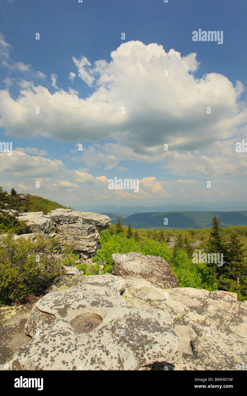 Bear Rocks Preserve, Dolly Sods Wilderness, Hopeville, West Virginia ...