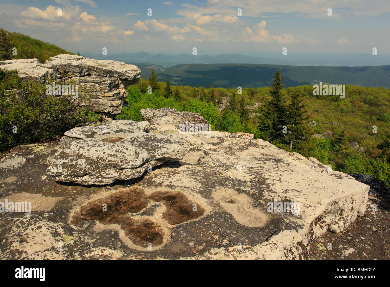 Bear Rocks Preserve, Dolly Sods Wilderness, Hopeville, West Virginia ...