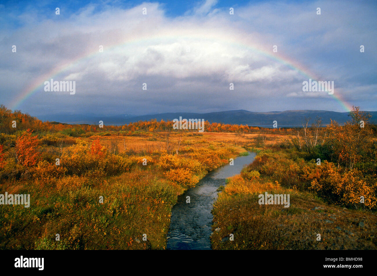 Rainbow over autumn colors and small stream in northern Sweden in ...