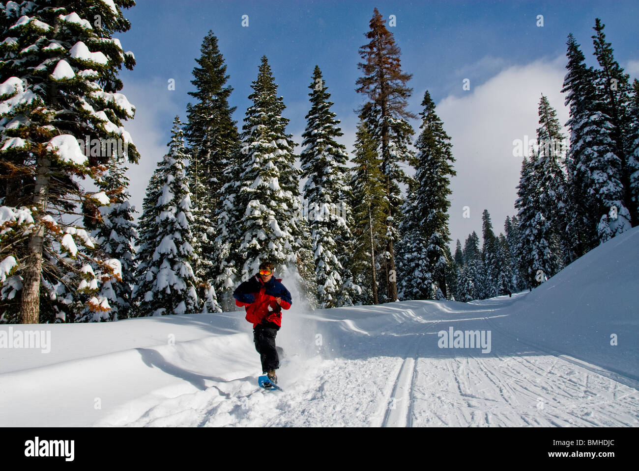 snowshoes, sport, Winter scene, North Lake Tahoe, California, USA Stock ...