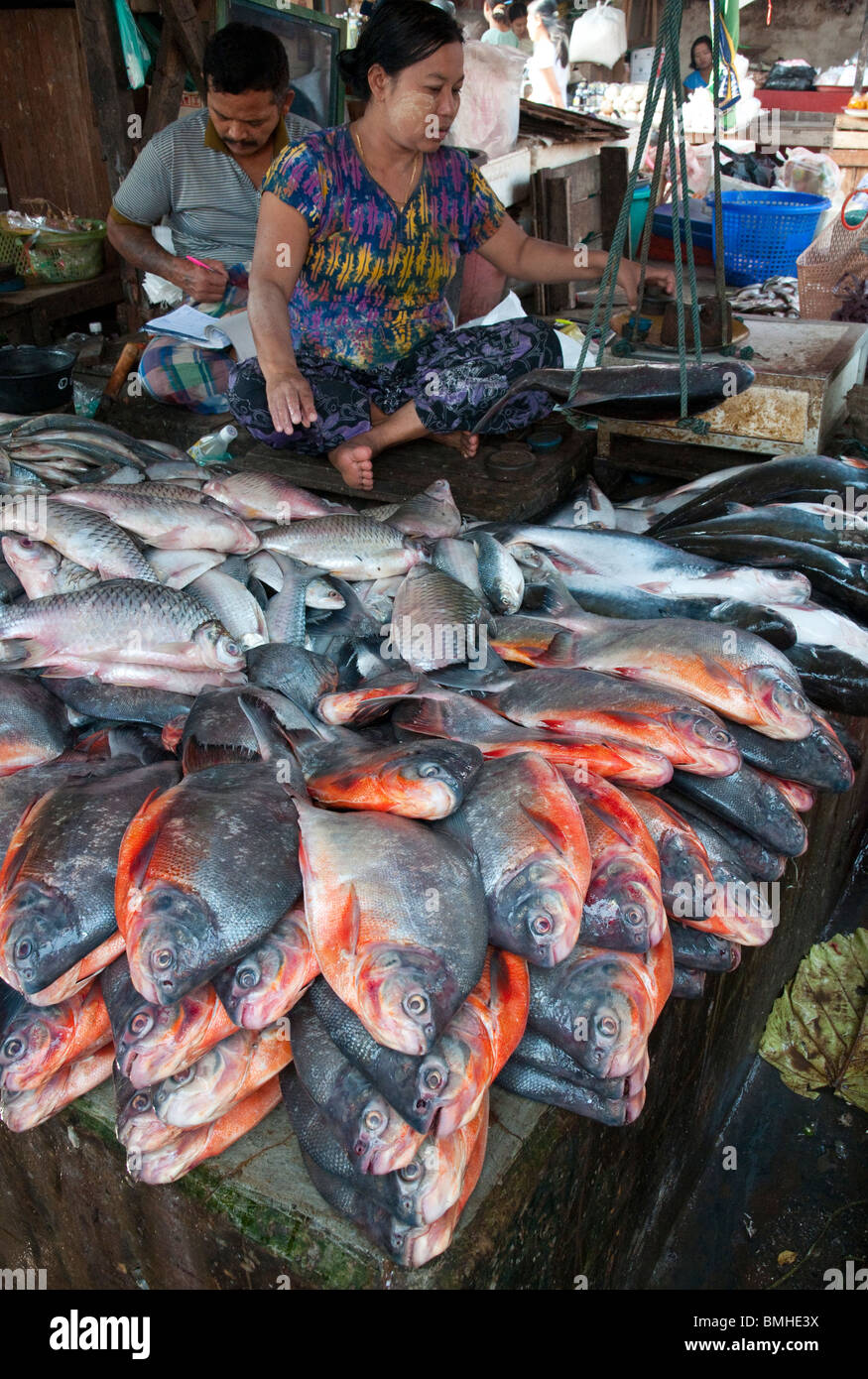 Myanmar. Burma. Hpa An. fish market Stock Photo - Alamy