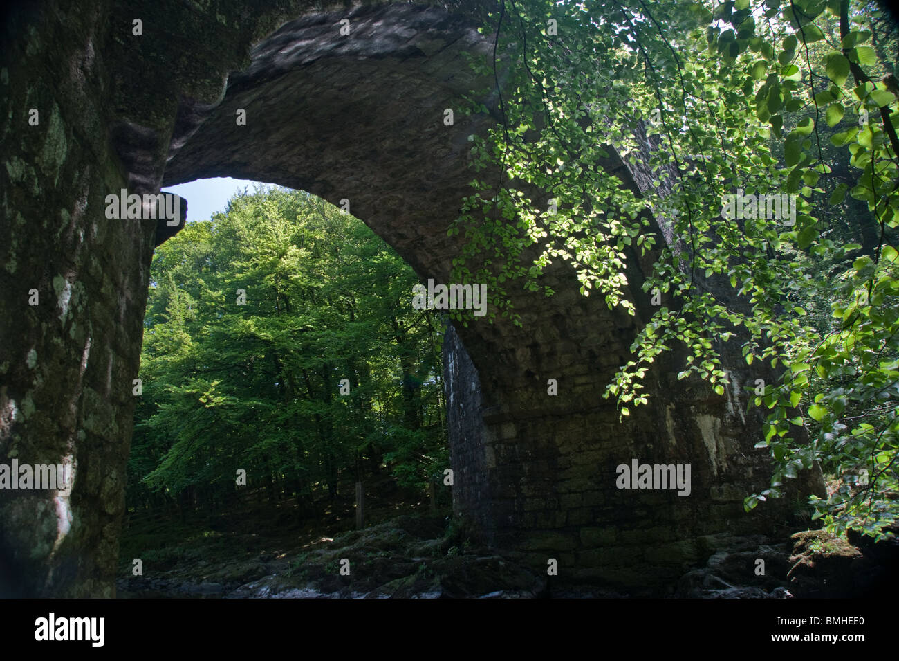 The arch of New Bridge, Dartmoor, Devon Stock Photo - Alamy