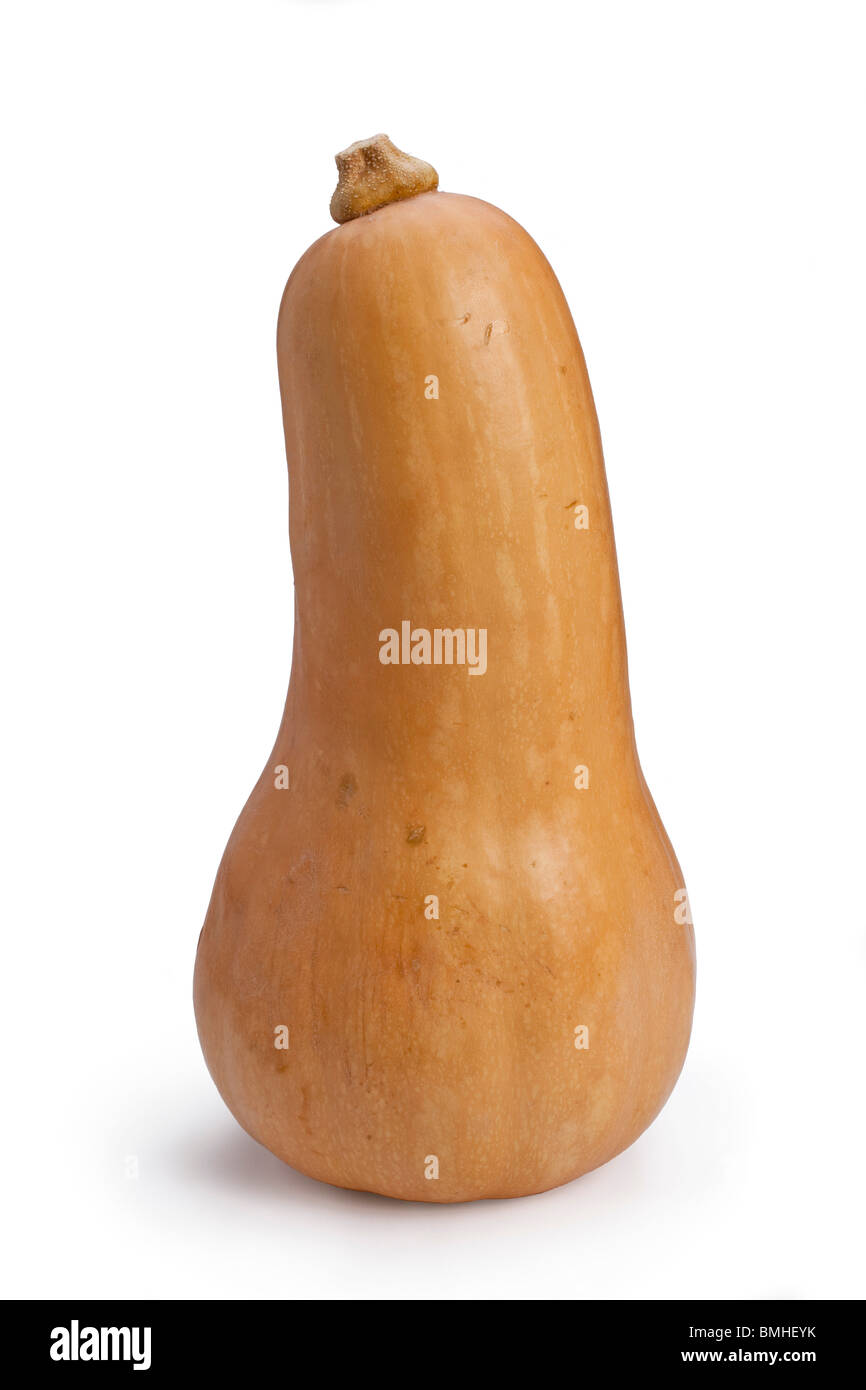 A whole butternut squash Stock Photo - Alamy