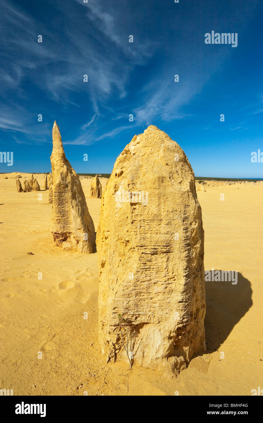 Rock pillars of eroded limestone in the Pinnacles Desert, Nambung ...