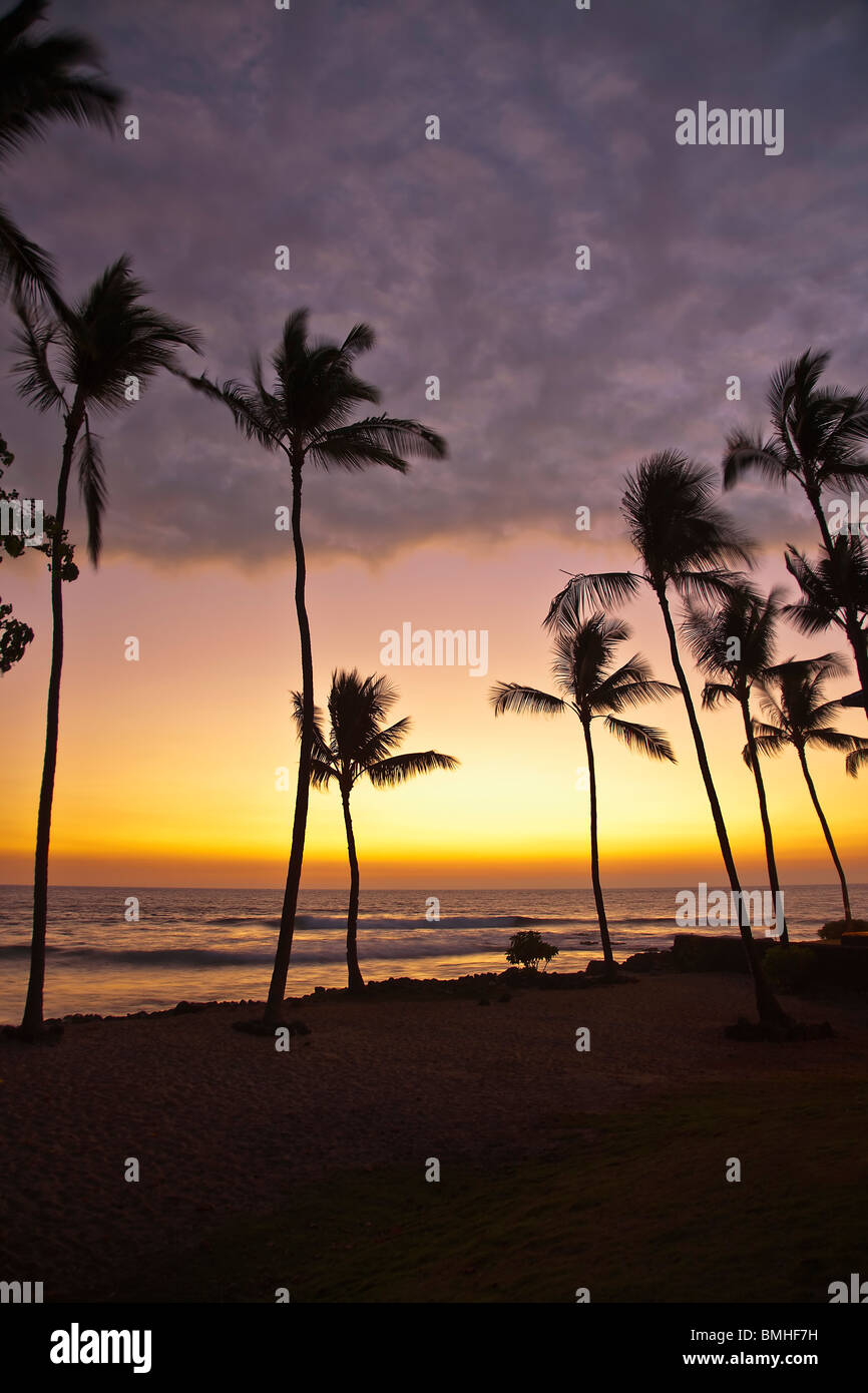 Hawaiian sunset hi-res stock photography and images - Alamy