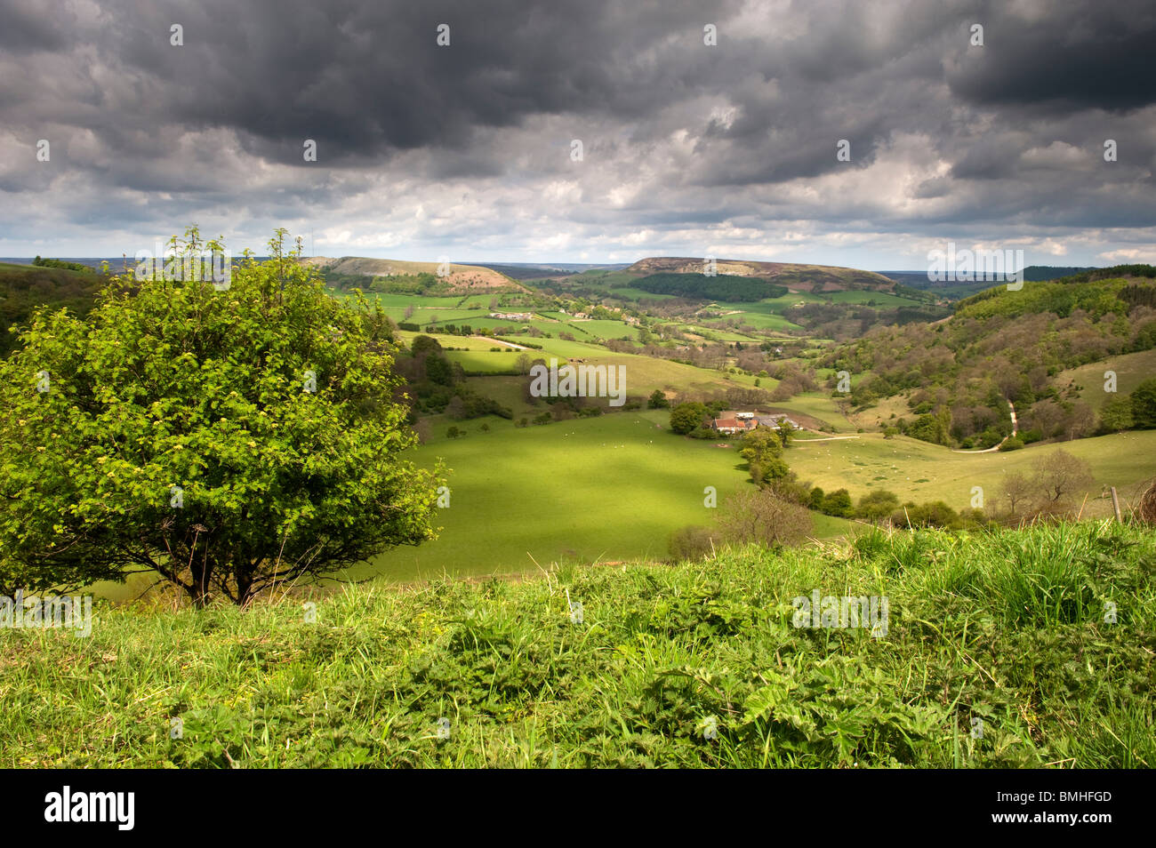 North york moors hi-res stock photography and images - Alamy