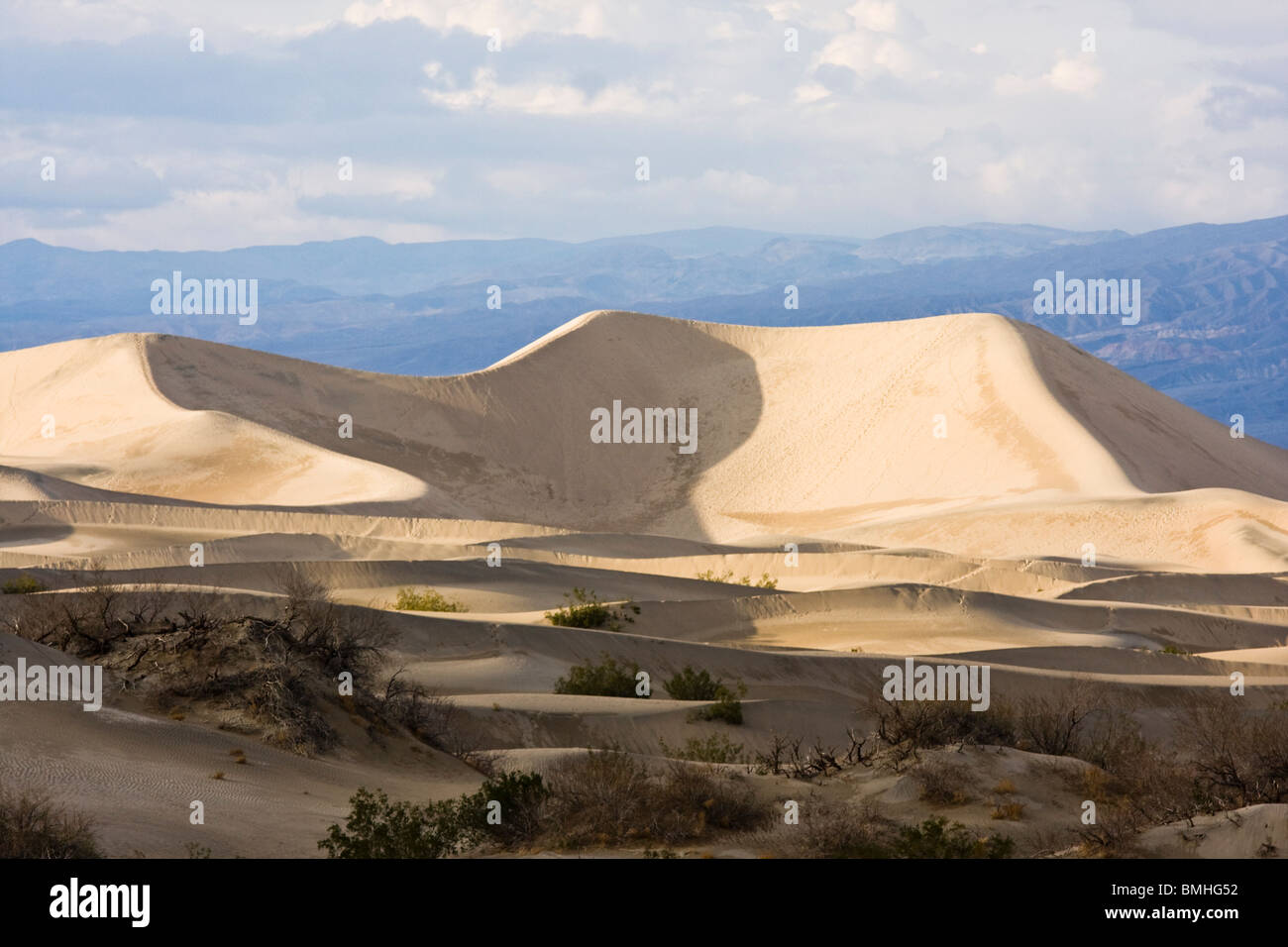 California sand grains hi-res stock photography and images - Alamy