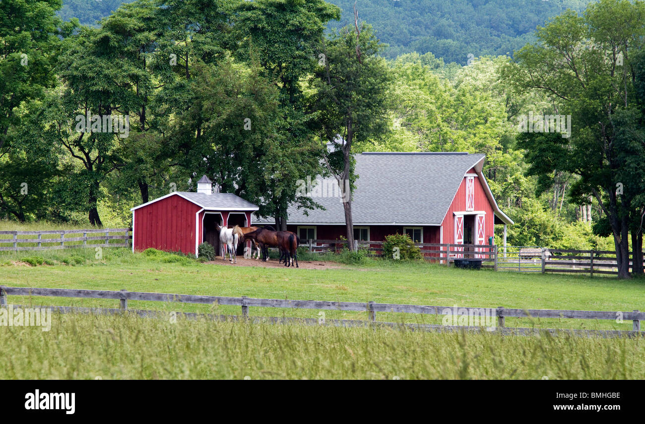 A corral with horses a red barn and a red shelter for the horses Stock ...