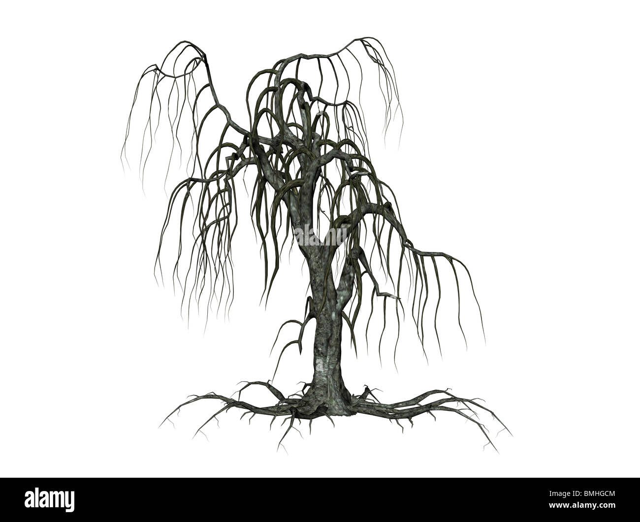 Illustration of a creepy tree, isolated agains white background Stock ...