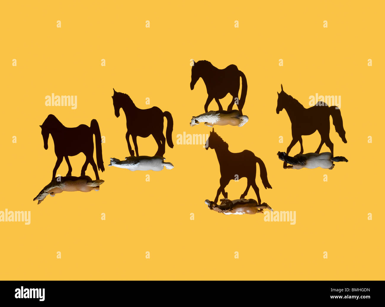 Overhead shot of some horses Stock Photo - Alamy