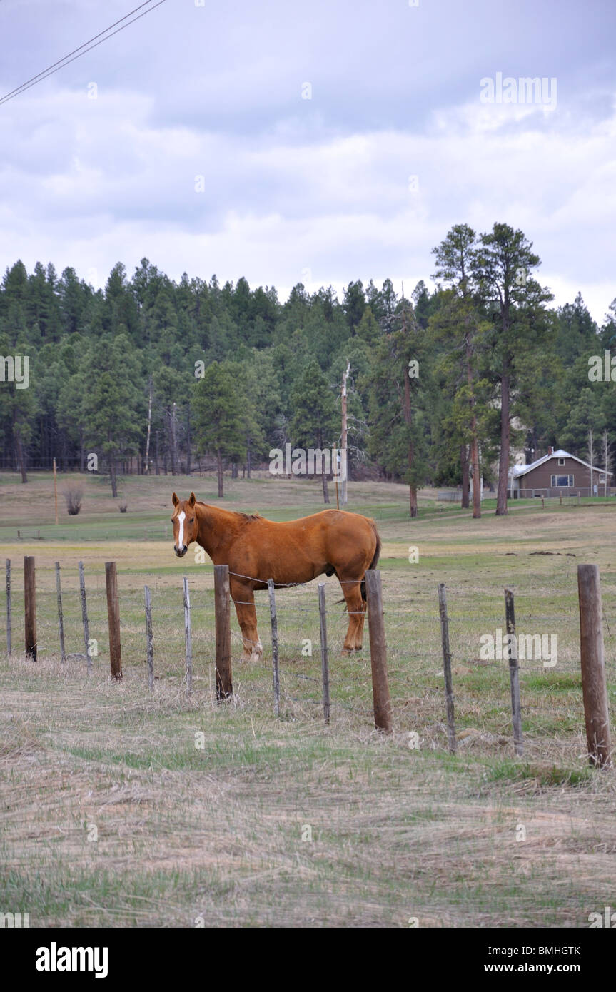 Farm in rural Colorado, USA Stock Photo - Alamy